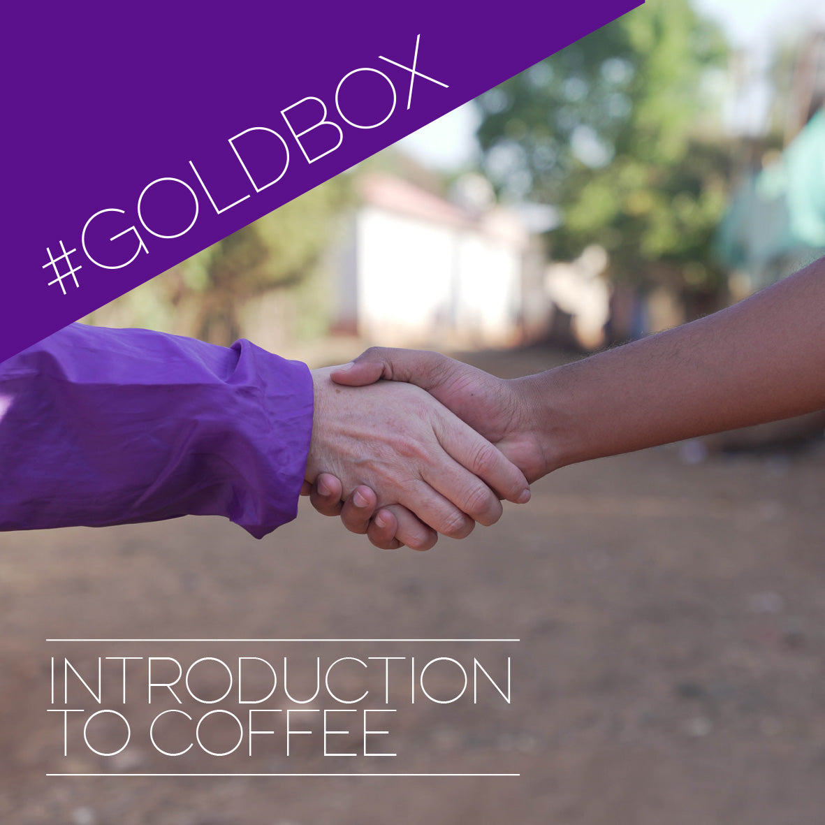 Introduction to Coffee– Gold Box Roastery LLC