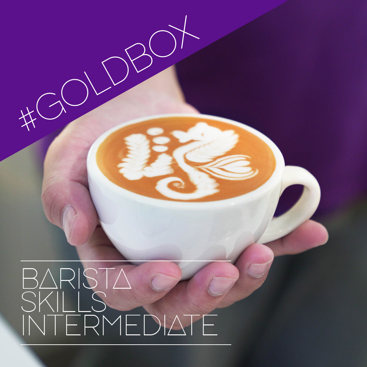 Barista Skills Intermediate– Gold Box Roastery LLC